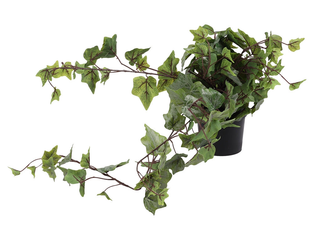 Τεχνητό φυτό σε γλάστρα Κισσός - 80cm | PALETA DEALS